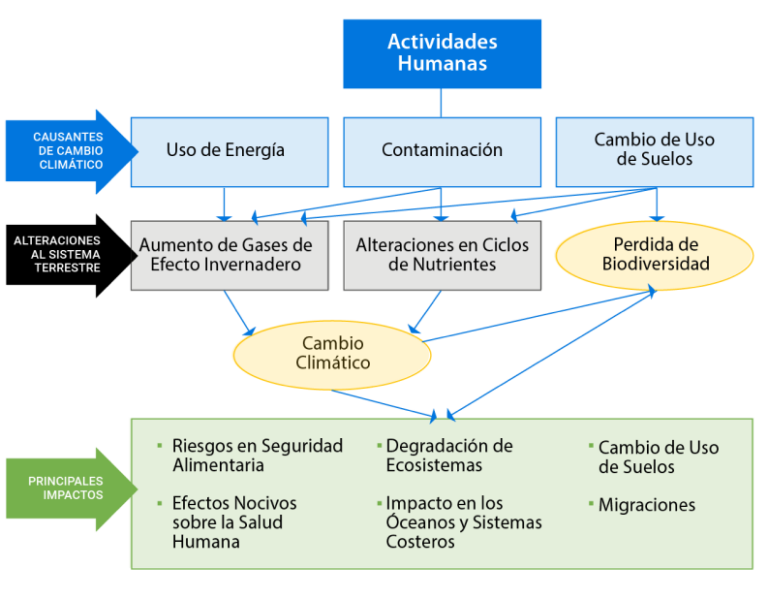 ¿Qué es el cambio global? - Centro Cambio Global UC